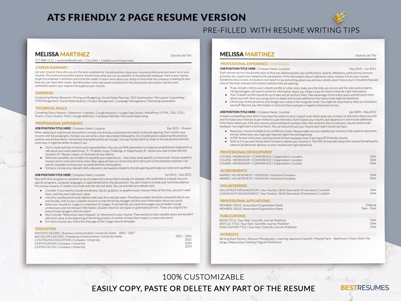 Sophisticated Clean ATS Friendly Resume Template Google Docs, Word, Mac ...