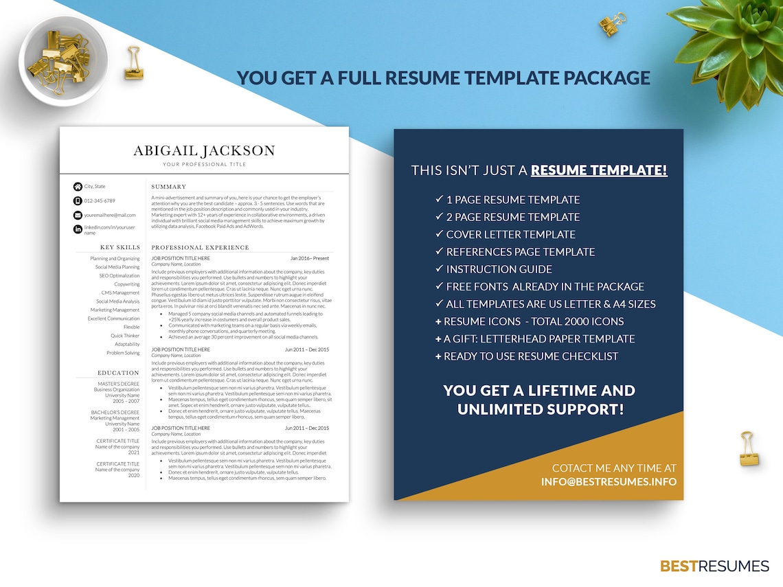 Two Column Resume Template Word, Professional Resume Templates ...
