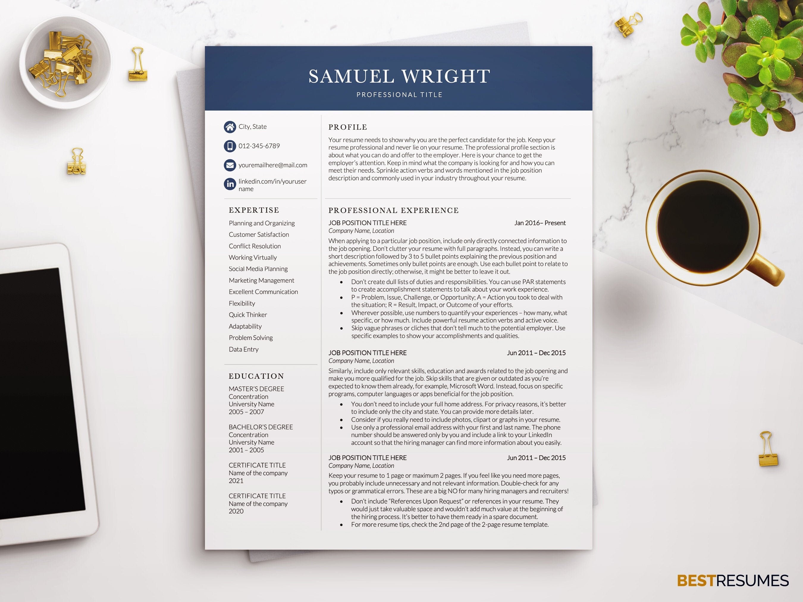 Clean Modern Executive Resume Template 2026, Business CEO Resume ...