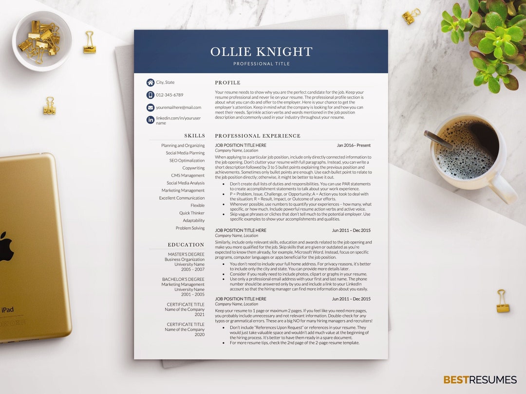 Modern Professional Executive Resume Template for Word, Business Resume ...