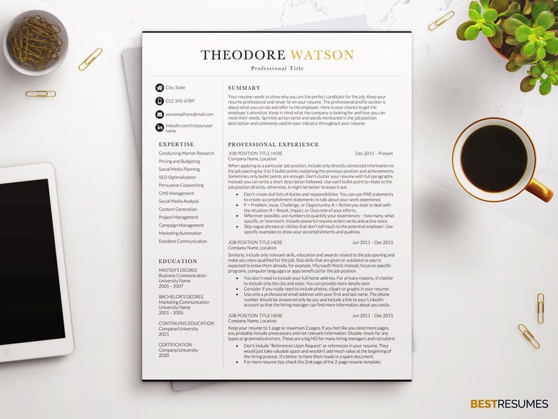 Executive Resume Template Word, CEO Resume, CFO Resume, CIO Resume, Two ...