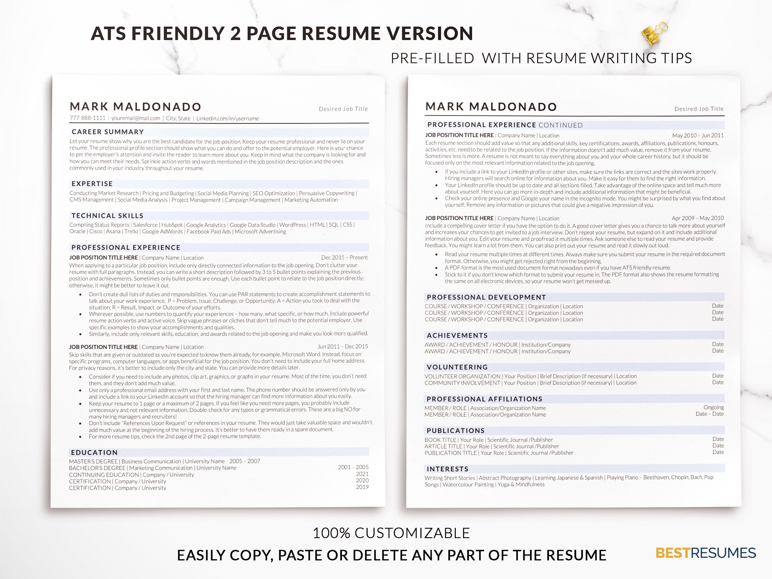 Executive ATS Friendly Resume Template for Word, Google Docs, Mac Pages ...