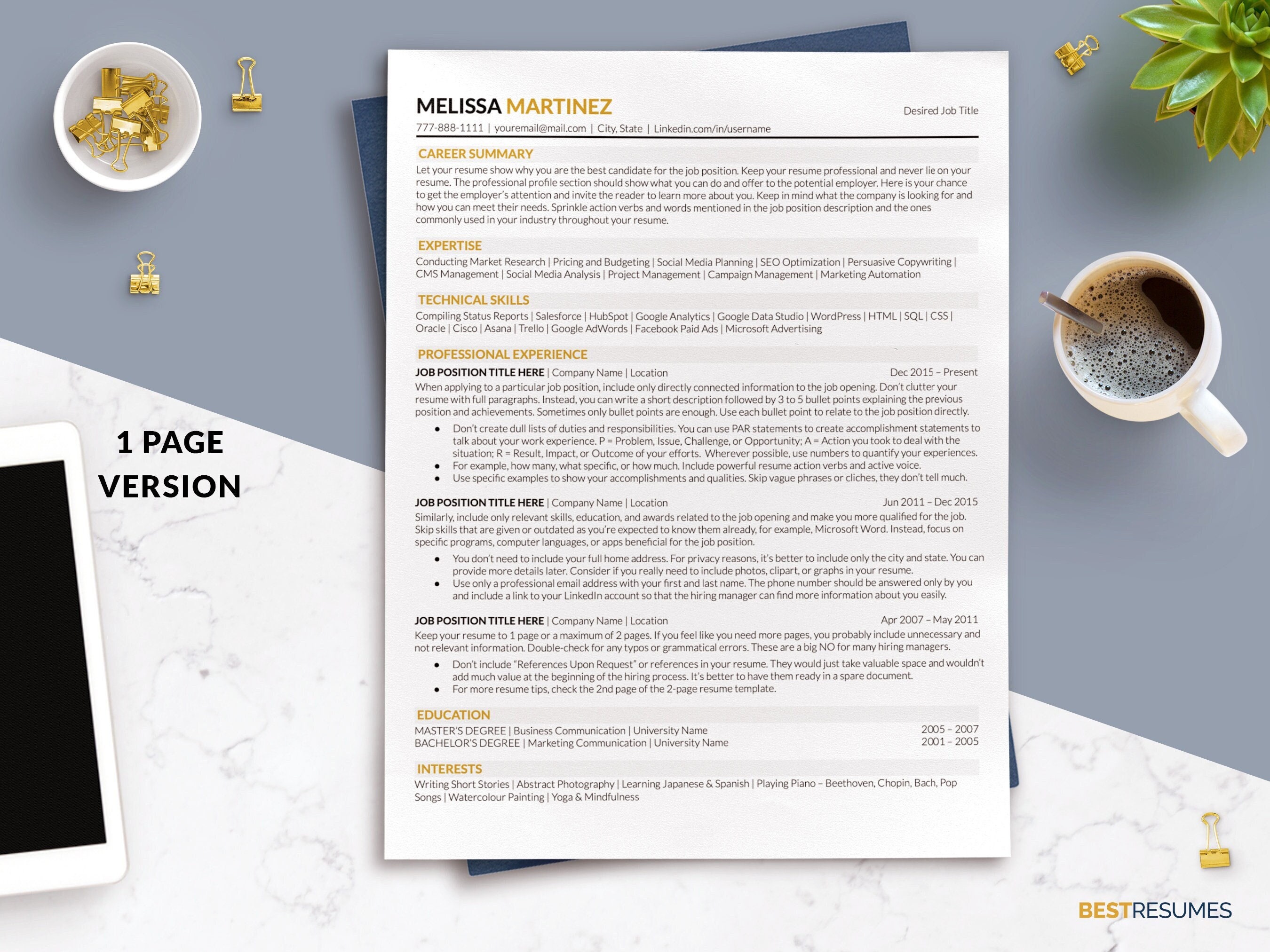 Sophisticated Clean ATS Friendly Resume Template Google Docs, Word, Mac ...