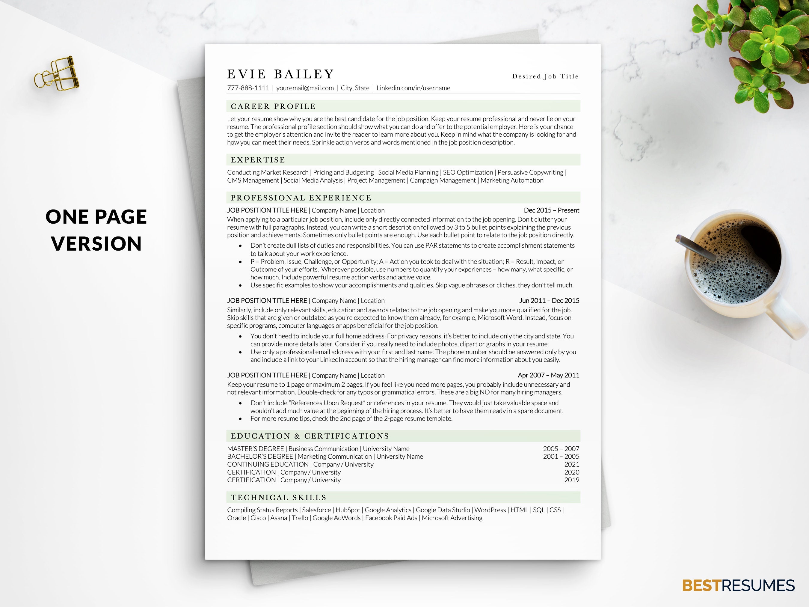 ATS Friendly Resume Template for Word, Apple Mac Pages, Google Docs ...