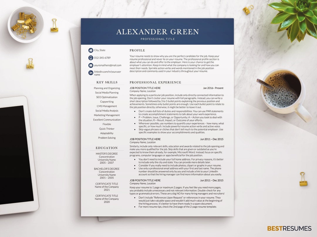 Modern Executive Resume Template 2024, Modern CV Template Word ...