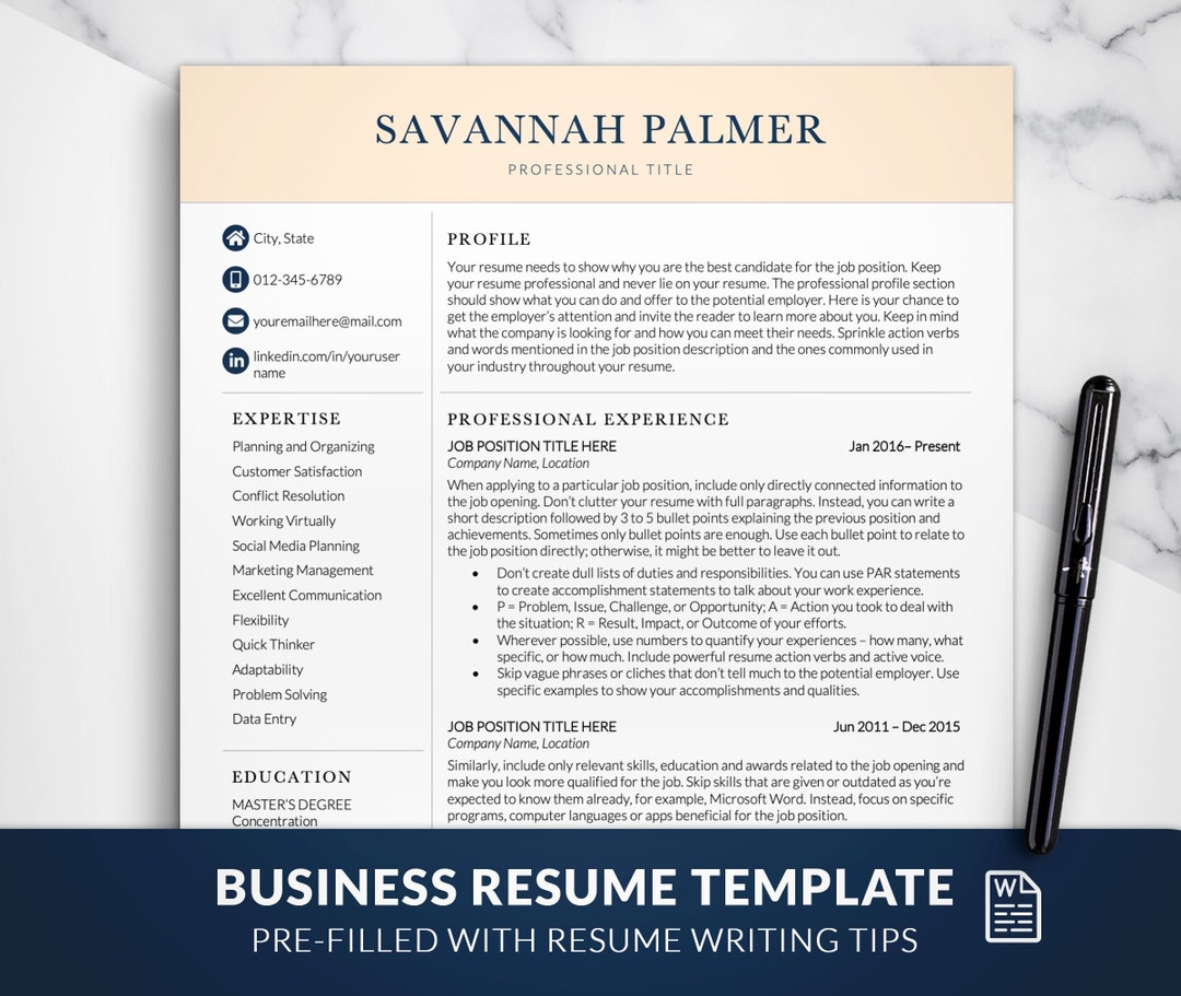Business Resume Templates, Professional Resume Template for MS Word ...