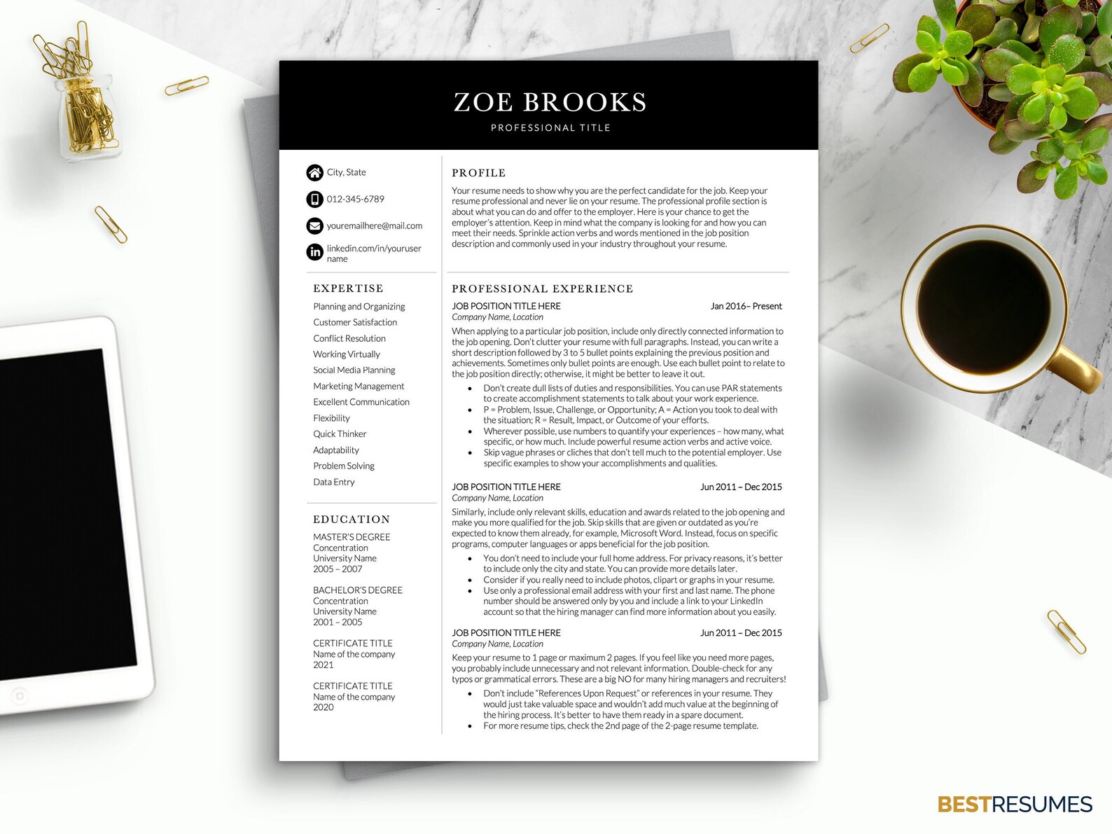 CEO Executive Resume Template Word, Modern Professional Resume ...