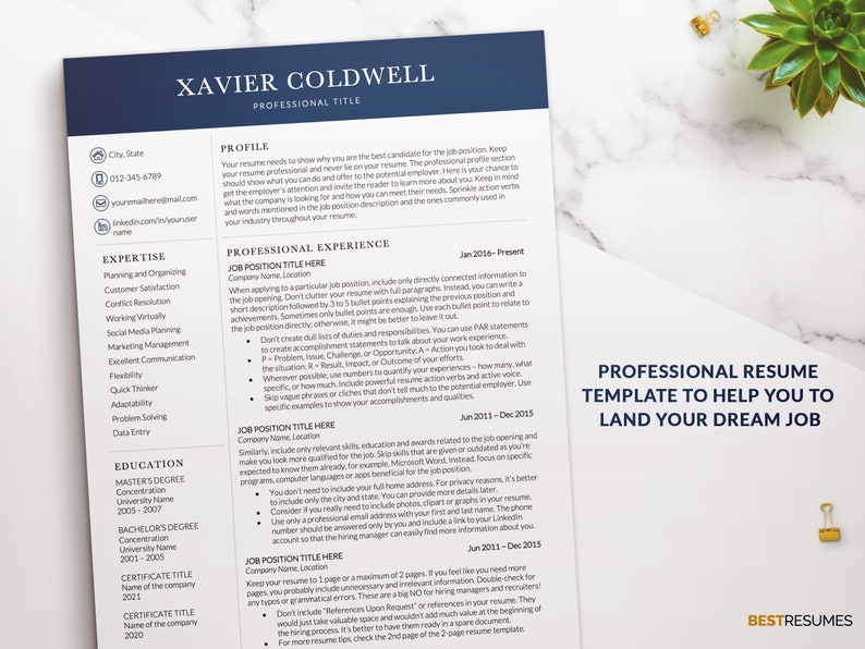 Professional Modern Resume Template for Word With a Clean - Etsy