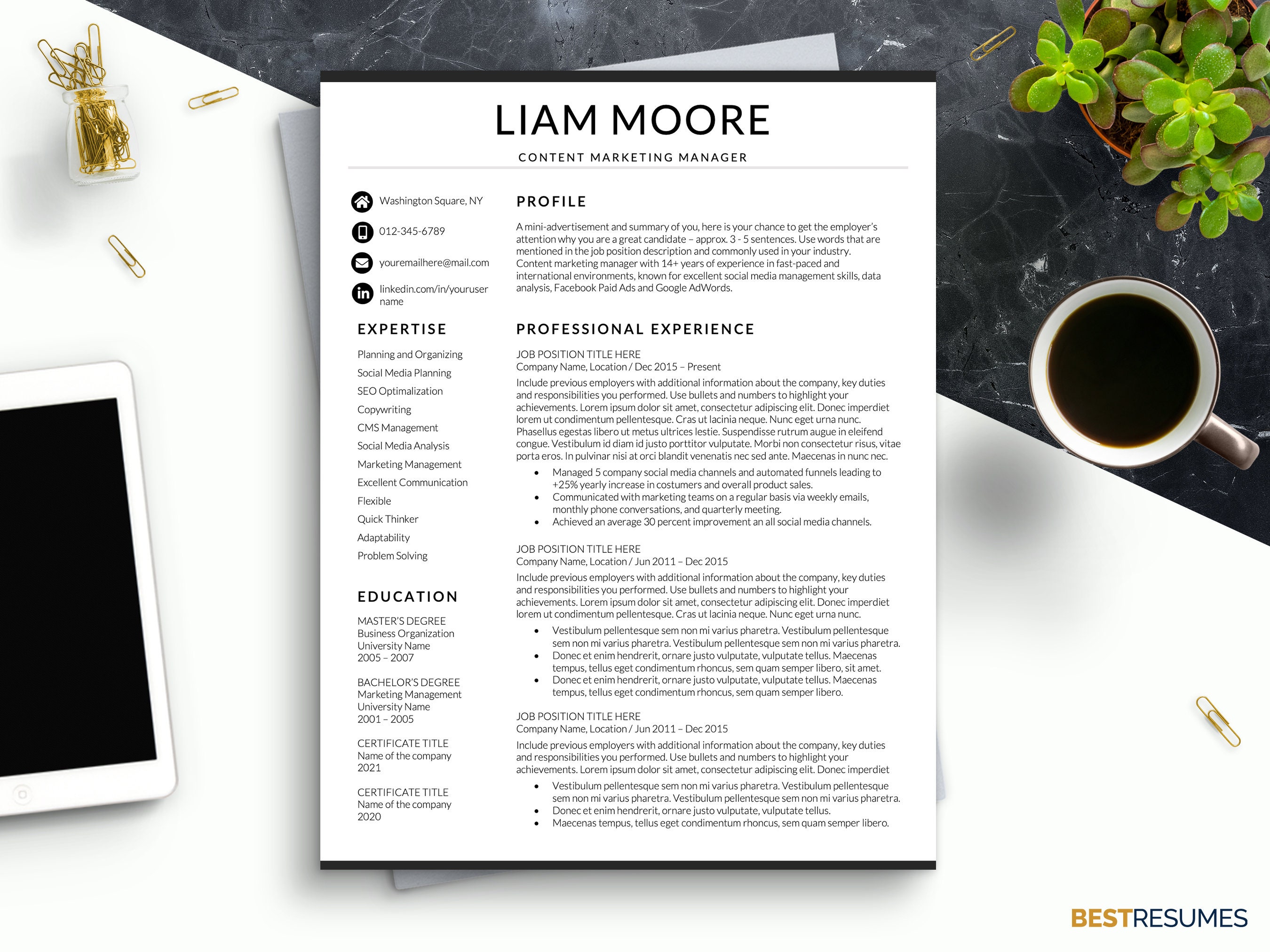 2 Column Resume Template Modern Executive Resume Template - Etsy