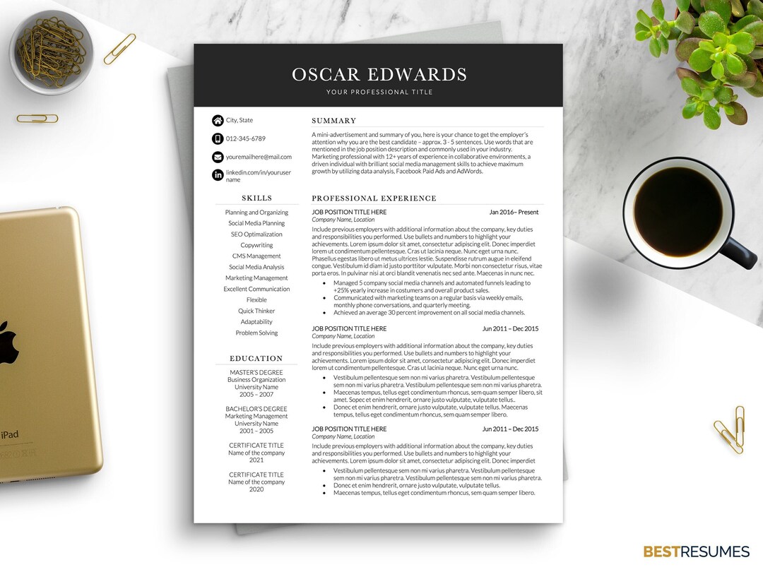 Executive Resume Template Word, Business Resume Template, Corporate ...
