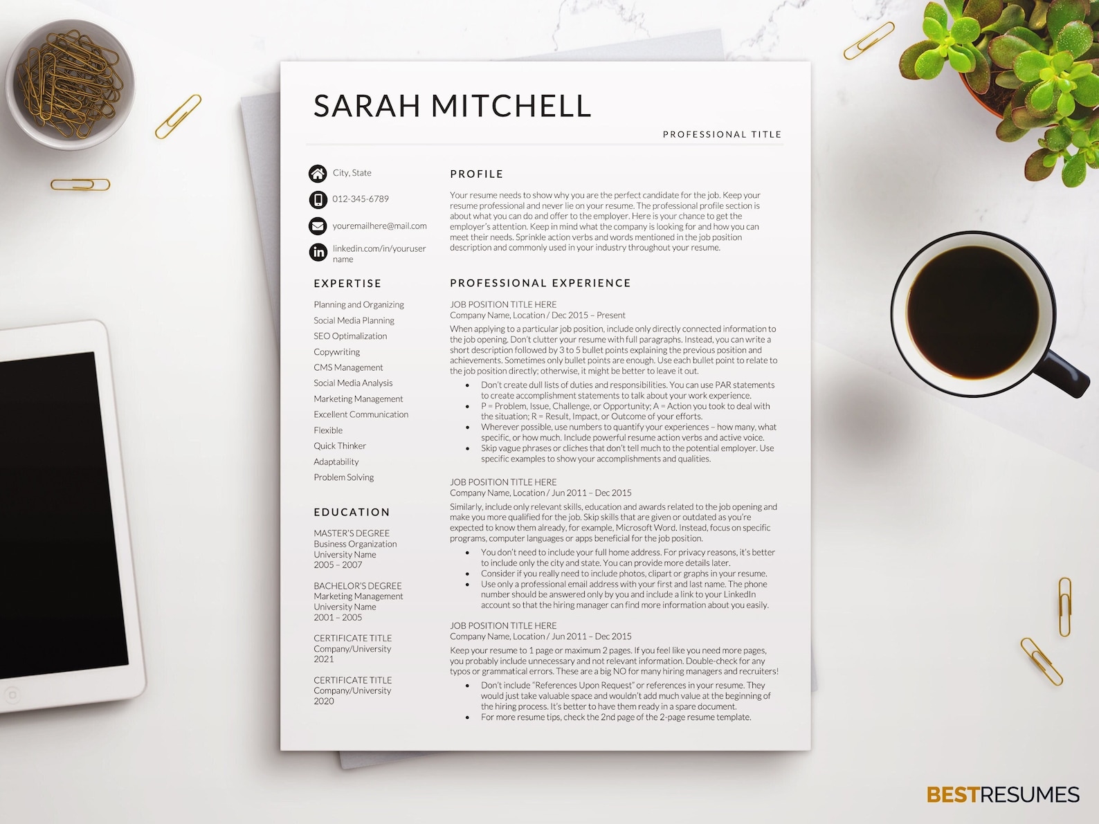 Professional Resume Template Two Column, Clean Modern Resume Template ...