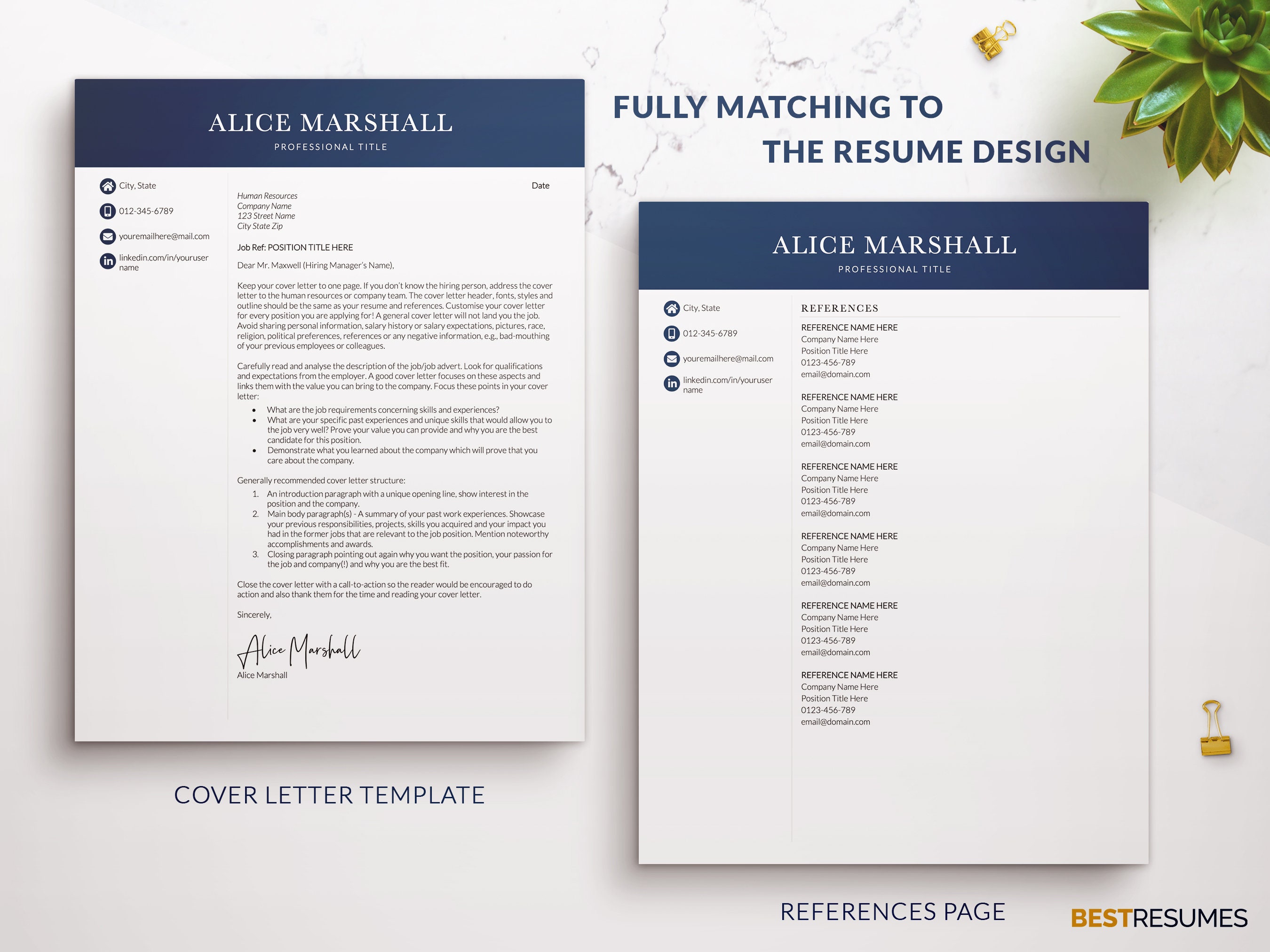 Modern Executive Resume Template Word, Two Page Resume Template, Two ...