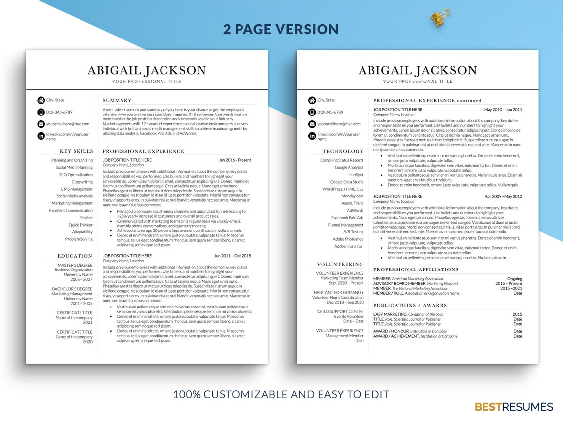 Two Column Resume Template Word, Professional Resume Templates ...