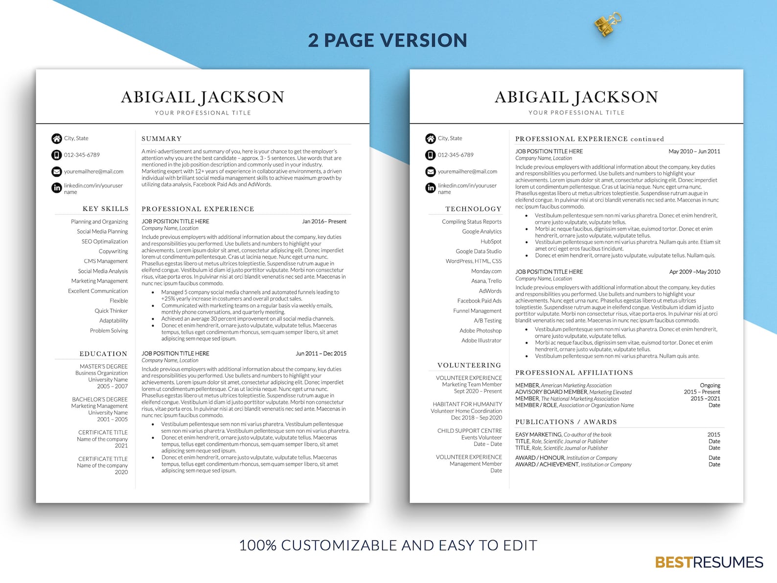 Two Column Resume Template Word, Professional Resume Templates ...