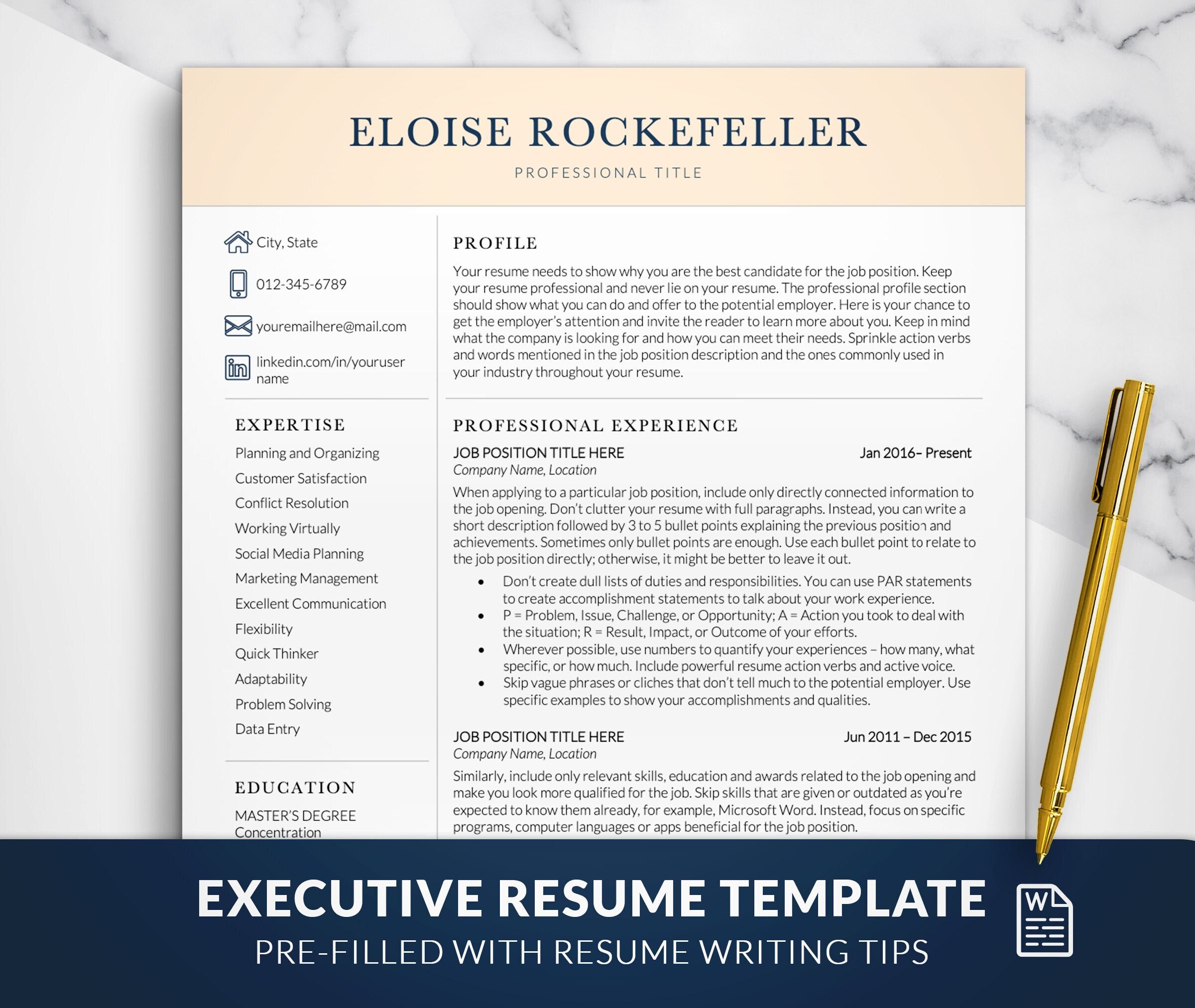 Executive Resume Template Word, Modern Professional Resume Template ...
