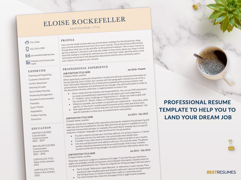 Professional Resume Template for Word With Modern Clean Resume Design ...