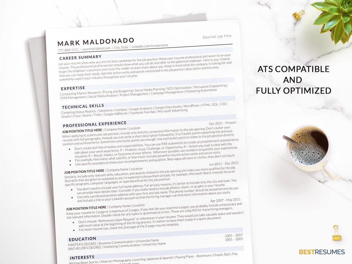 Executive ATS Friendly Resume Template for Word, Google Docs, Mac Pages ...