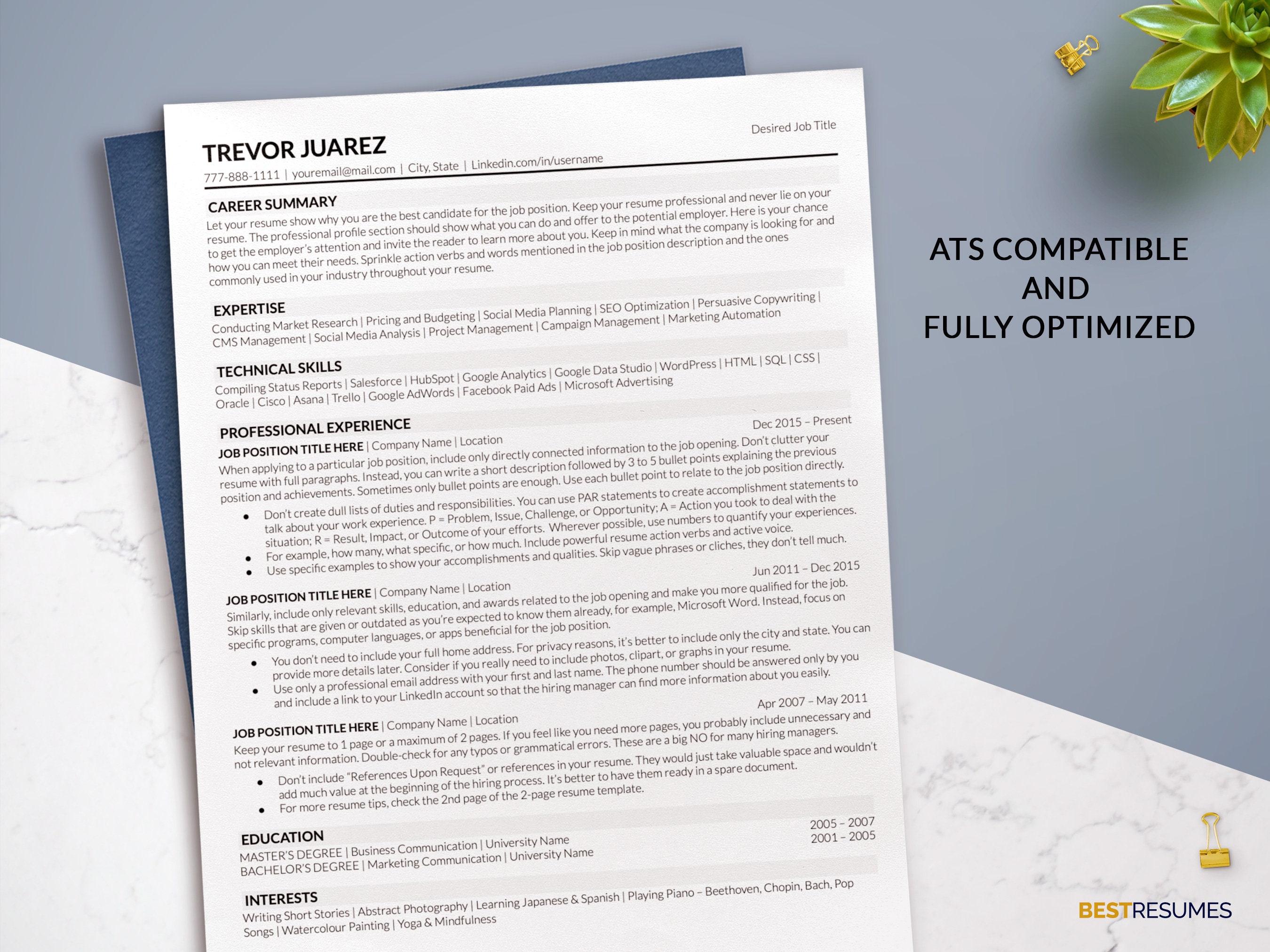 Classic Traditional Resume Template Google Docs, ATS Friendly Resume ...