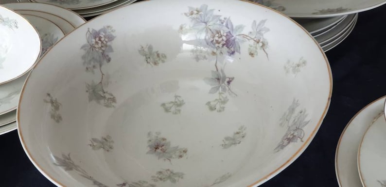 Antique Dinner Service de Fuisseaux Baudour With - Etsy