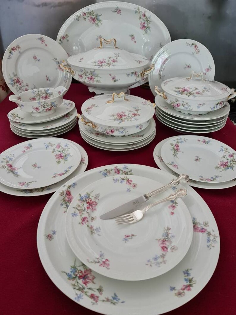 Haviland Limoges Schleiger Antique Dinner Service With Pink - Etsy