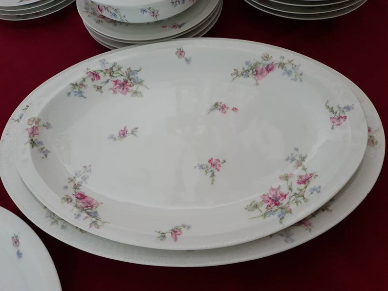 Haviland Limoges Schleiger Antique Dinner Service With Pink - Etsy