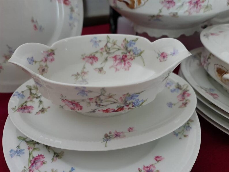 Haviland Limoges Schleiger Antique Dinner Service With Pink - Etsy