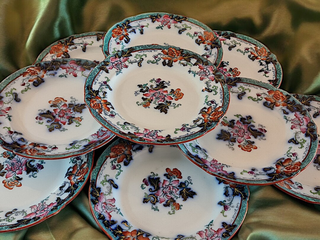 Antique Brown, Westhead, Moore & Co Set of 8 Floral Dinner Plates in ...