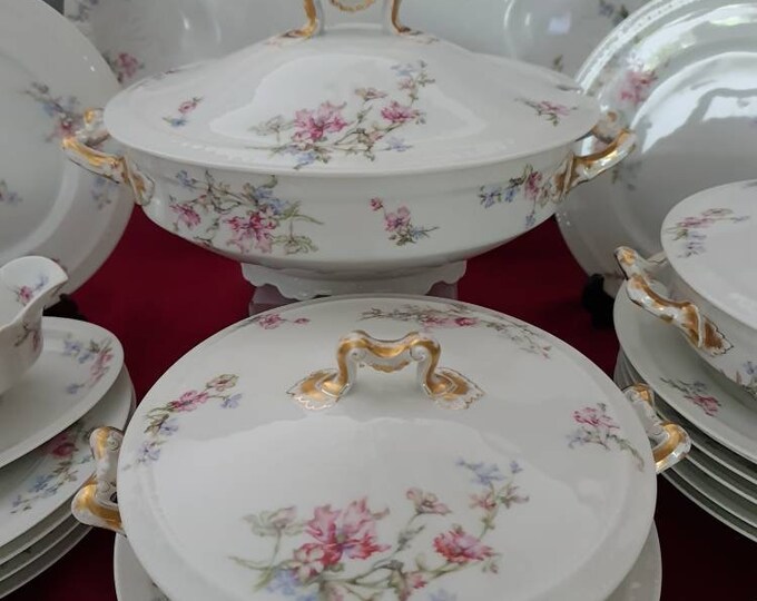 Haviland Limoges Schleiger Antique Dinner Service With Pink Flowers ...