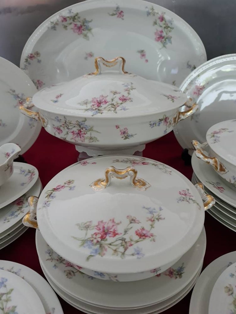 Haviland Limoges Schleiger Antique Dinner Service With Pink - Etsy