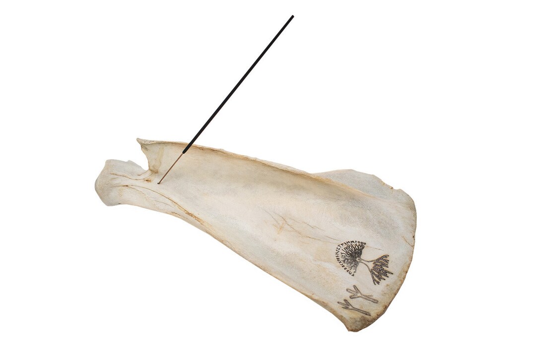Algiz & Yggdrasil Elk Scapula Incense Dish - Etsy