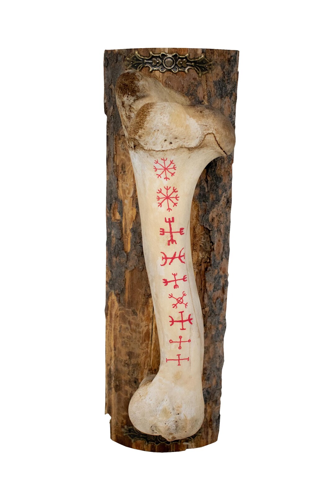 Painted Cow Leg Bone – the Nine Helms - Etsy