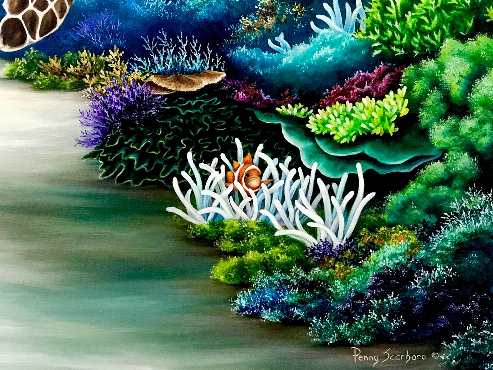 Sea Turtle Art Print, Under the Sea Wall Art, Limited Edition Coral ...