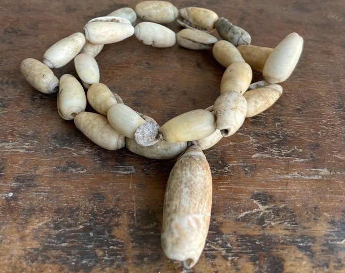 Rare, Vintage Tribal Shell Beads, African Art Trade Necklace 002 - Etsy