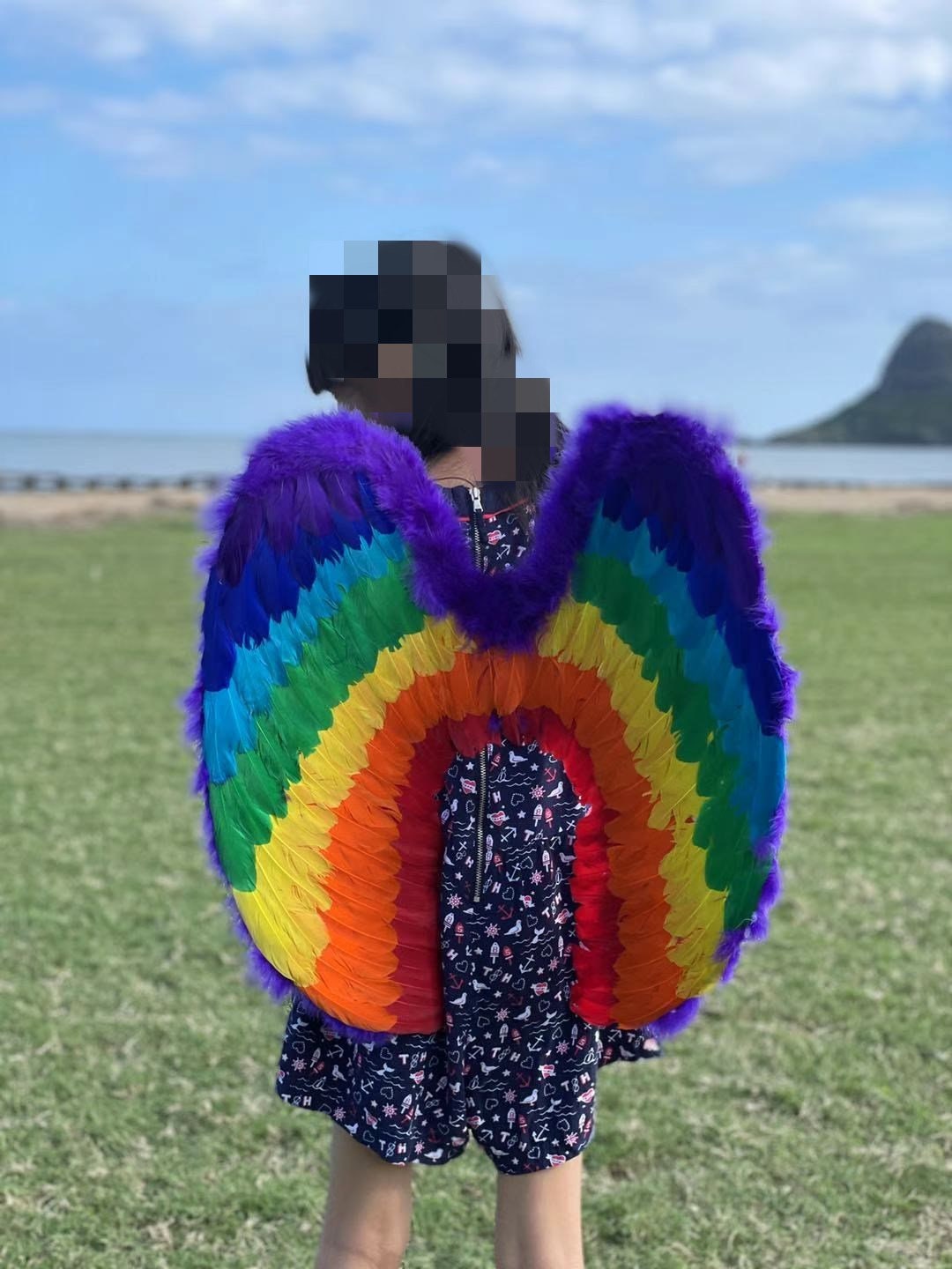 2021 Real Feather Wingshawaiian Rainbow Feather Wings Colorful Wings ...