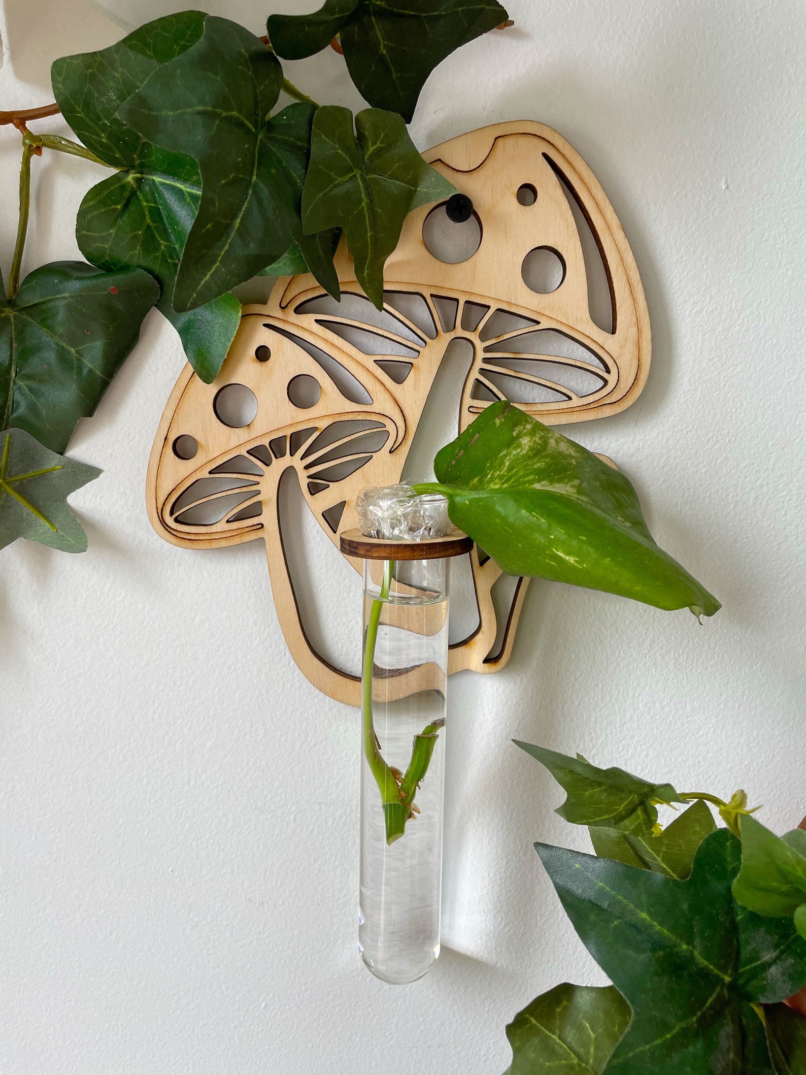 Mushroom Propagation Stations Cut Version Wood Plant - Etsy