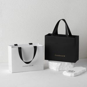 50 B2S A3S A4S B4S Kraft Paper Bags With Ribbon Handles - Custom Logo ...