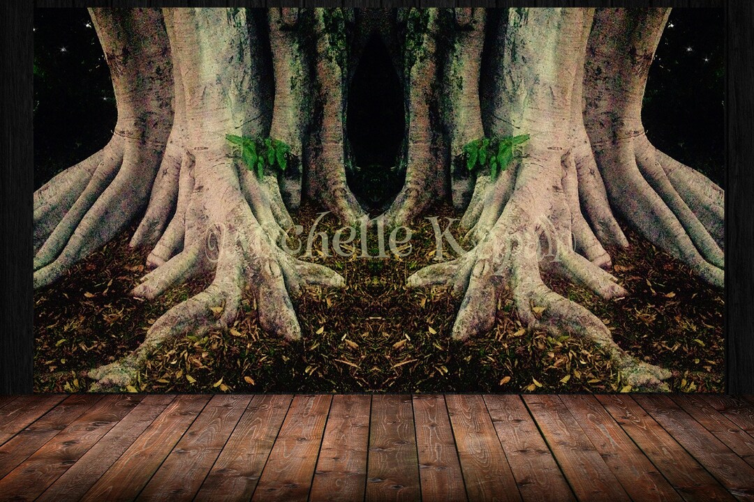 Download Photograph 2 Rooms 8.5x11 4x6 Background Backdrop Fantasy ...