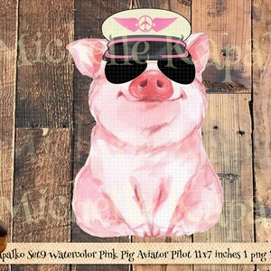 Download Pink Pig Pilot Flying Clipart Png Sublimation Design Graphic ...