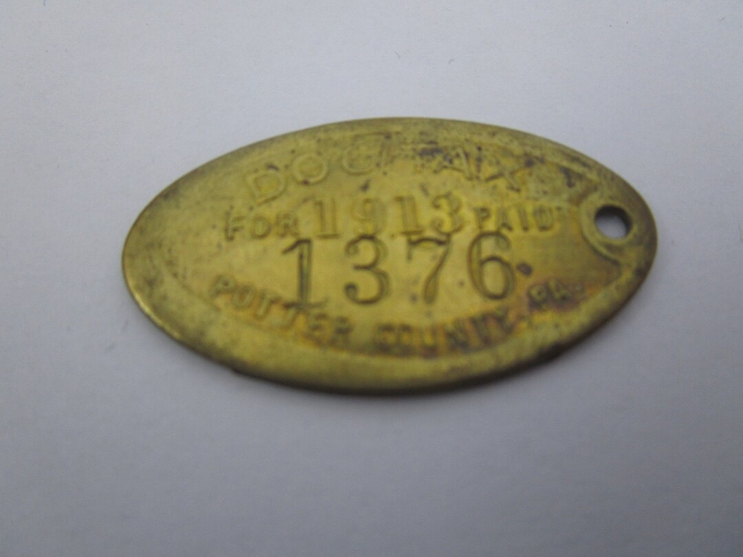 Rare Antique 1913 Dog Tax Brass Dog Tag Potter County Pennsylvania - Etsy