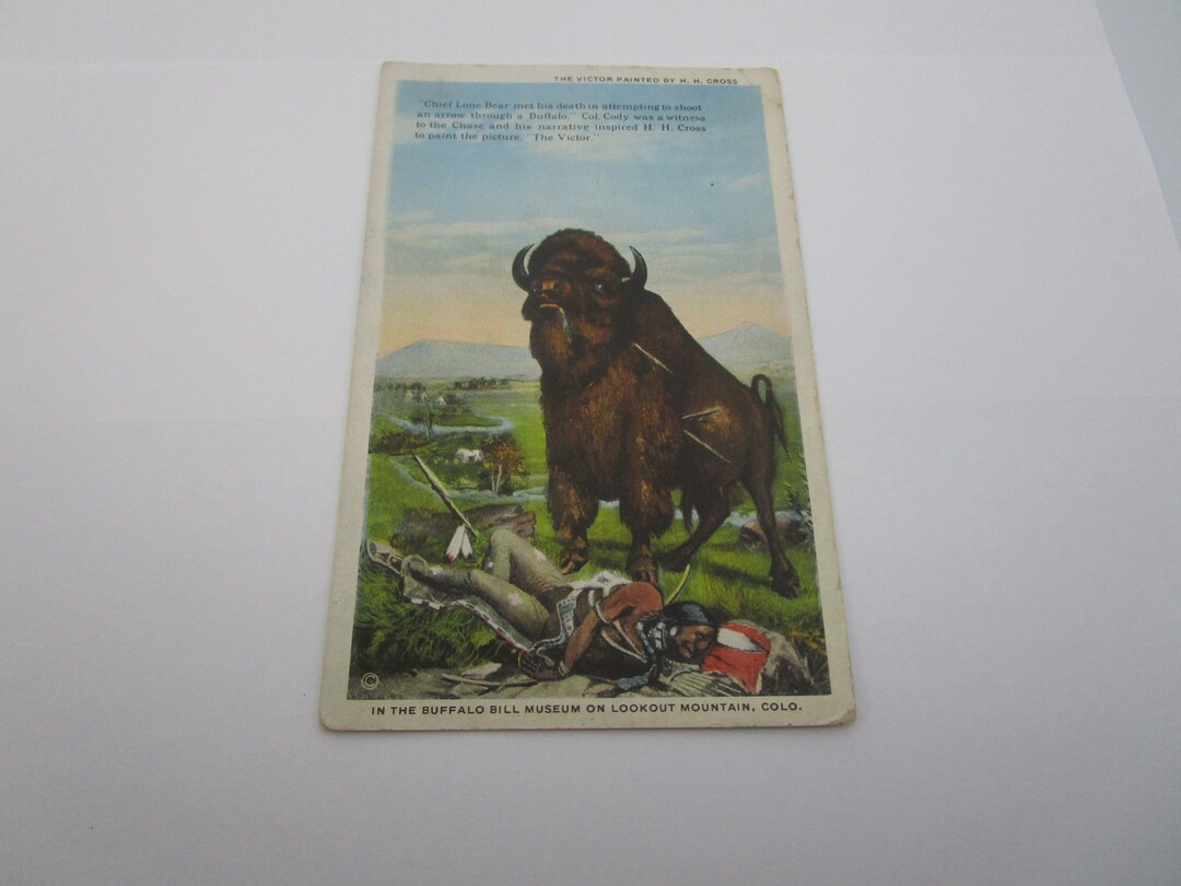 Antique Western Postcard Chief Lone Bear & Buffalo " the Victor ...