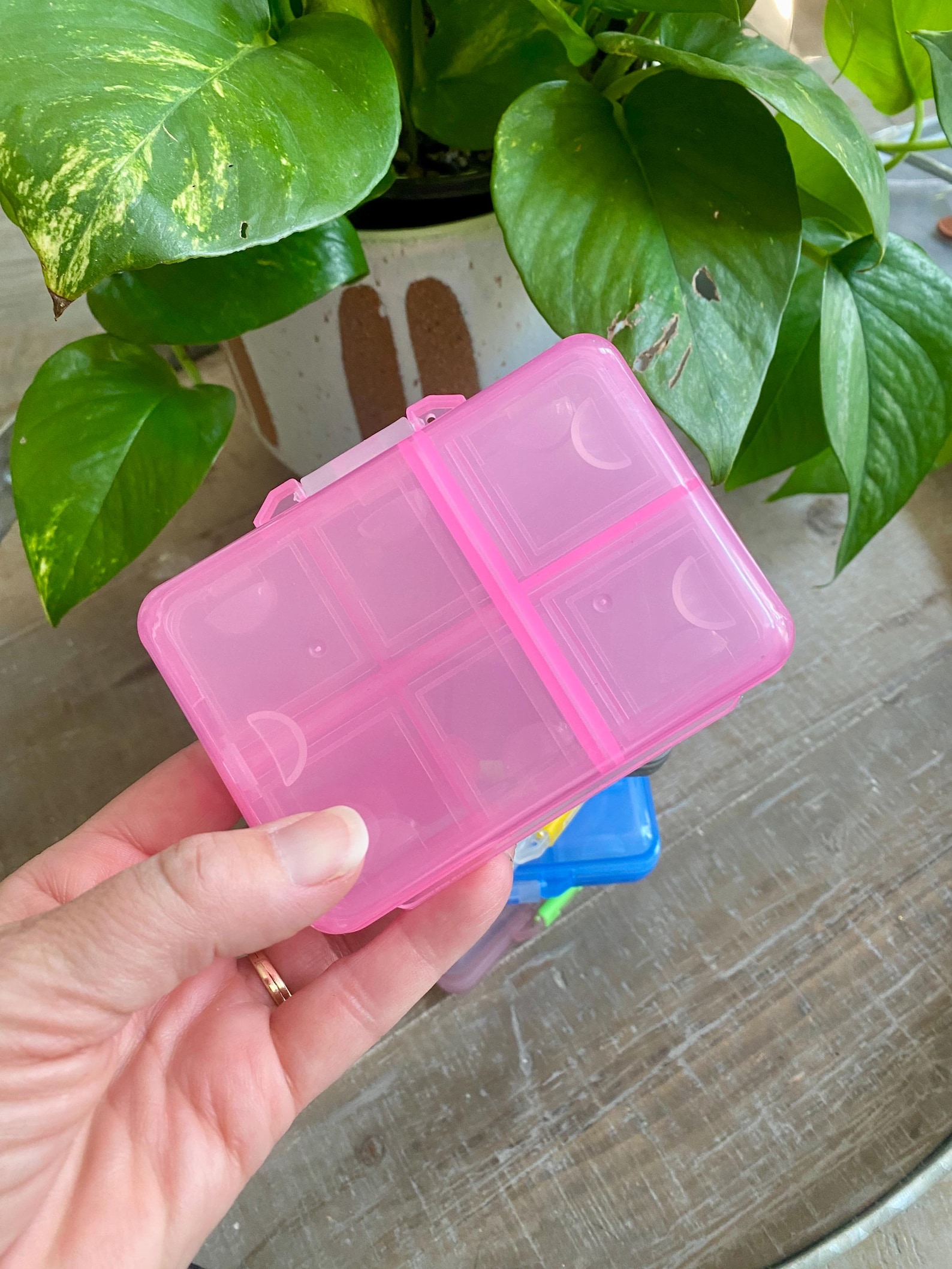 9 Compartment Plastic Notion Organizer for Knitting & Crochet - Etsy