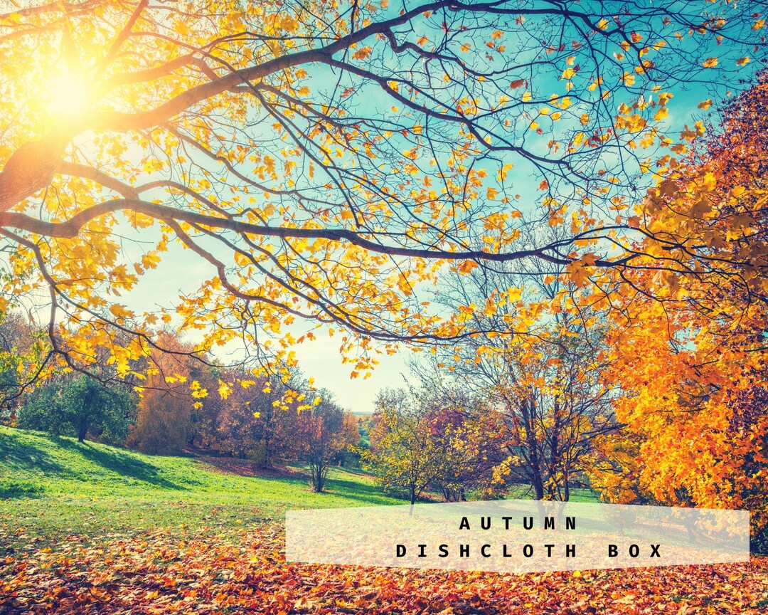 Autumnal Dishcloth Box - Etsy