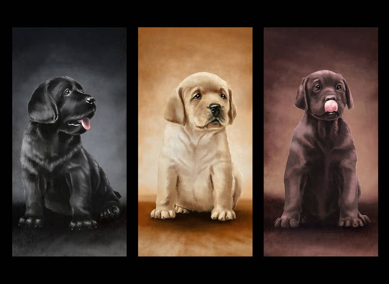 Labrador Retriever Puppies All Three Colors Tryptic on | Etsy