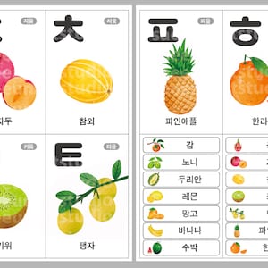 DIGITAL ONLY /cute Hangeul Hangul Korean Fruits Alphabet Flashcards ...