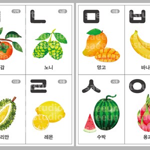 DIGITAL ONLY /cute Hangeul Hangul Korean Fruits Alphabet Flashcards ...