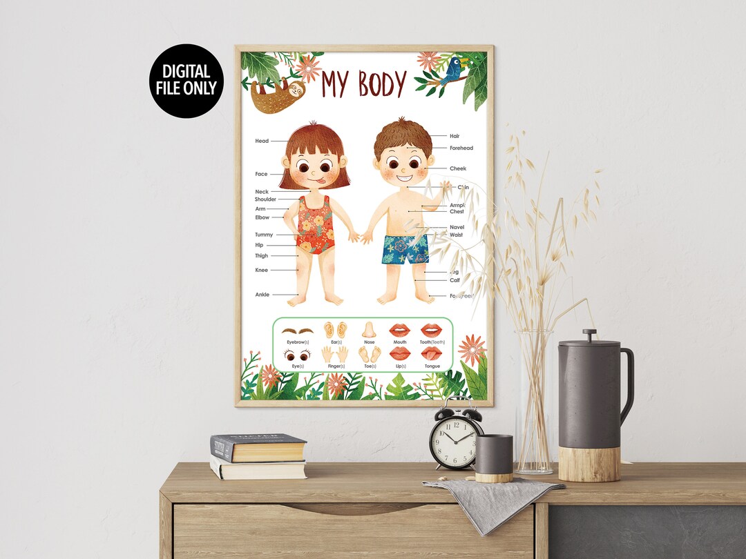 DIGITAL Only/cute Kid Educational Body Posters/ English Watercolor ...