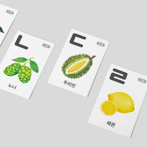 DIGITAL ONLY /cute Hangeul Hangul Korean Fruits Alphabet Flashcards ...