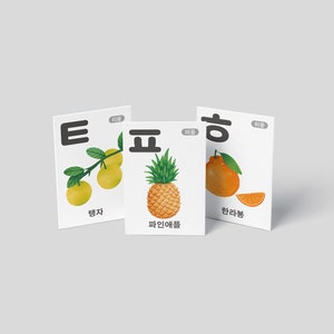DIGITAL ONLY /cute Hangeul Hangul Korean Fruits Alphabet Flashcards ...