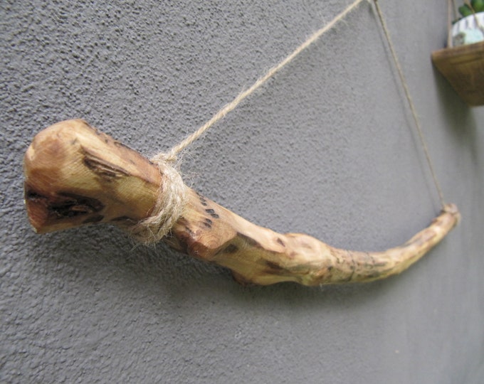 Branch, Olive Wood, Thick, Natural Branch, Olive Tree Branch, Tree ...