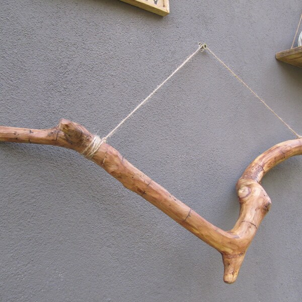 Wood Branches - Etsy